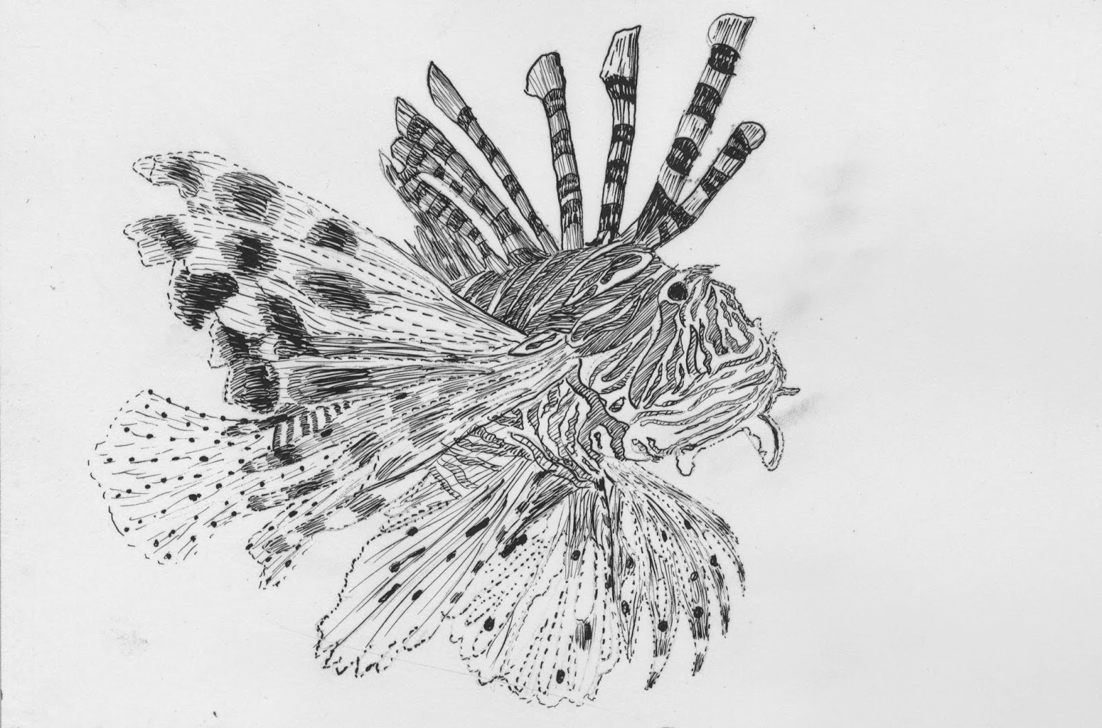 Gretchen Burns: Drawing with Ink Topics Class