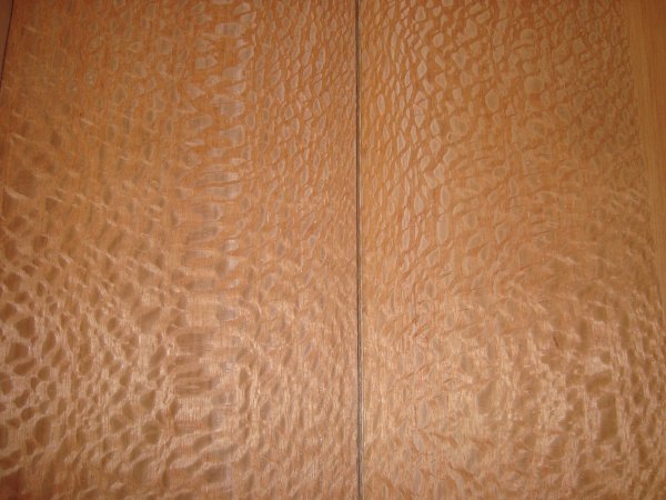 Madeiras Brasileiras: Louro-Faia