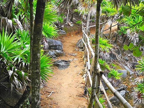 My Roatan - Adventures in Creating Nirvana: the zen path, revisited