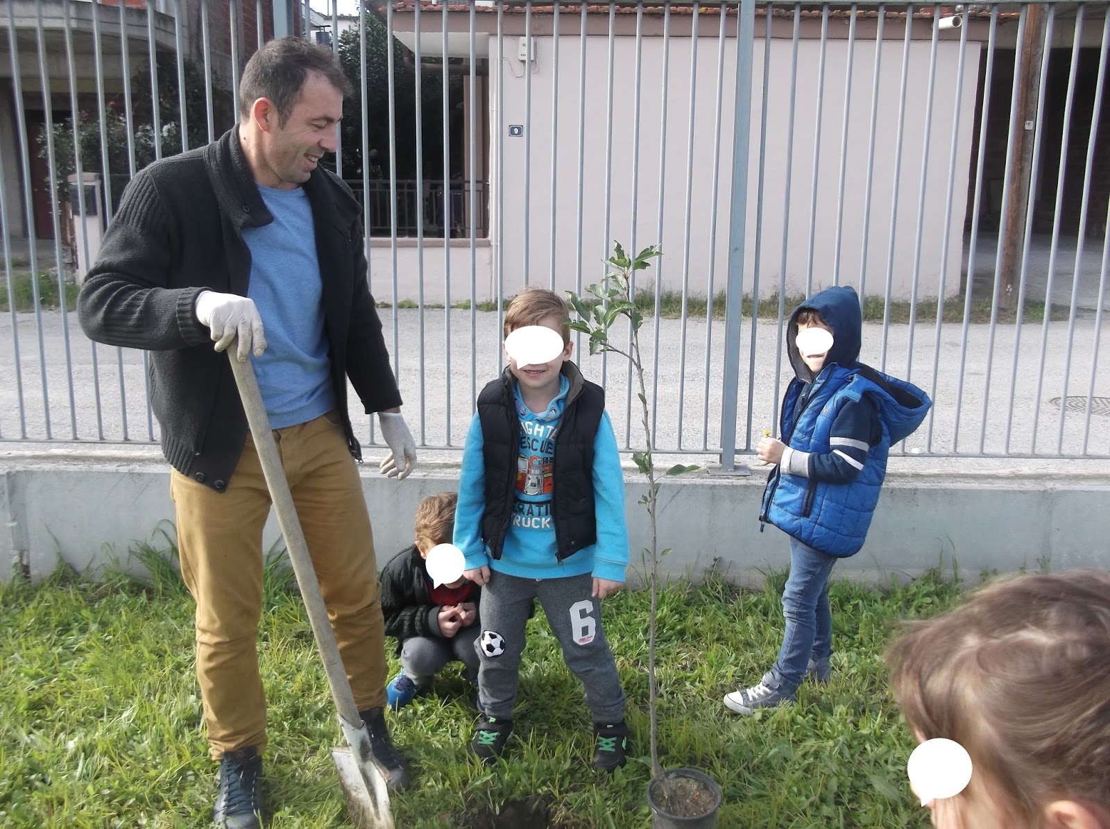 ΤΑ ΟΠΩΡΟΦΟΡΑ ΔΕΝΤΡΑ ΜΑΣ
