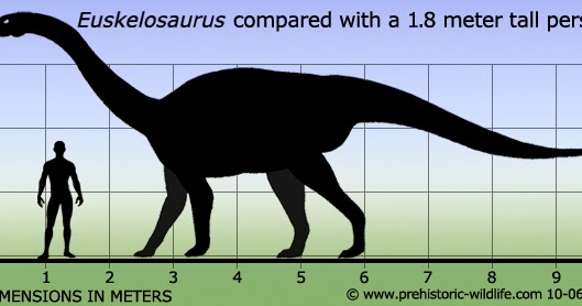 the koalabeast chronicles: Dino of the Week: Euskelosaurus