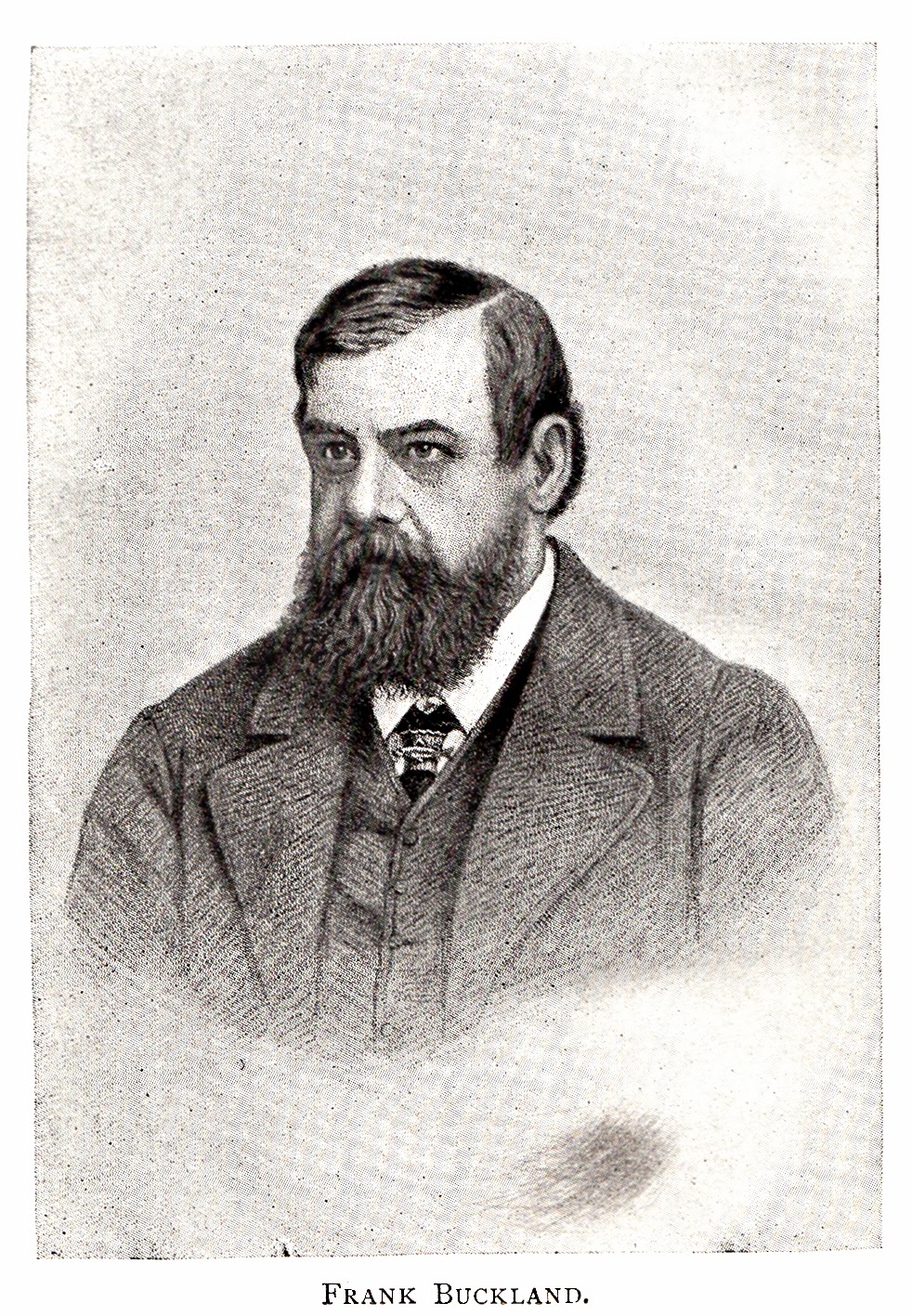 Natural History, Creation and Religious Conflicts: Being inspired by ...