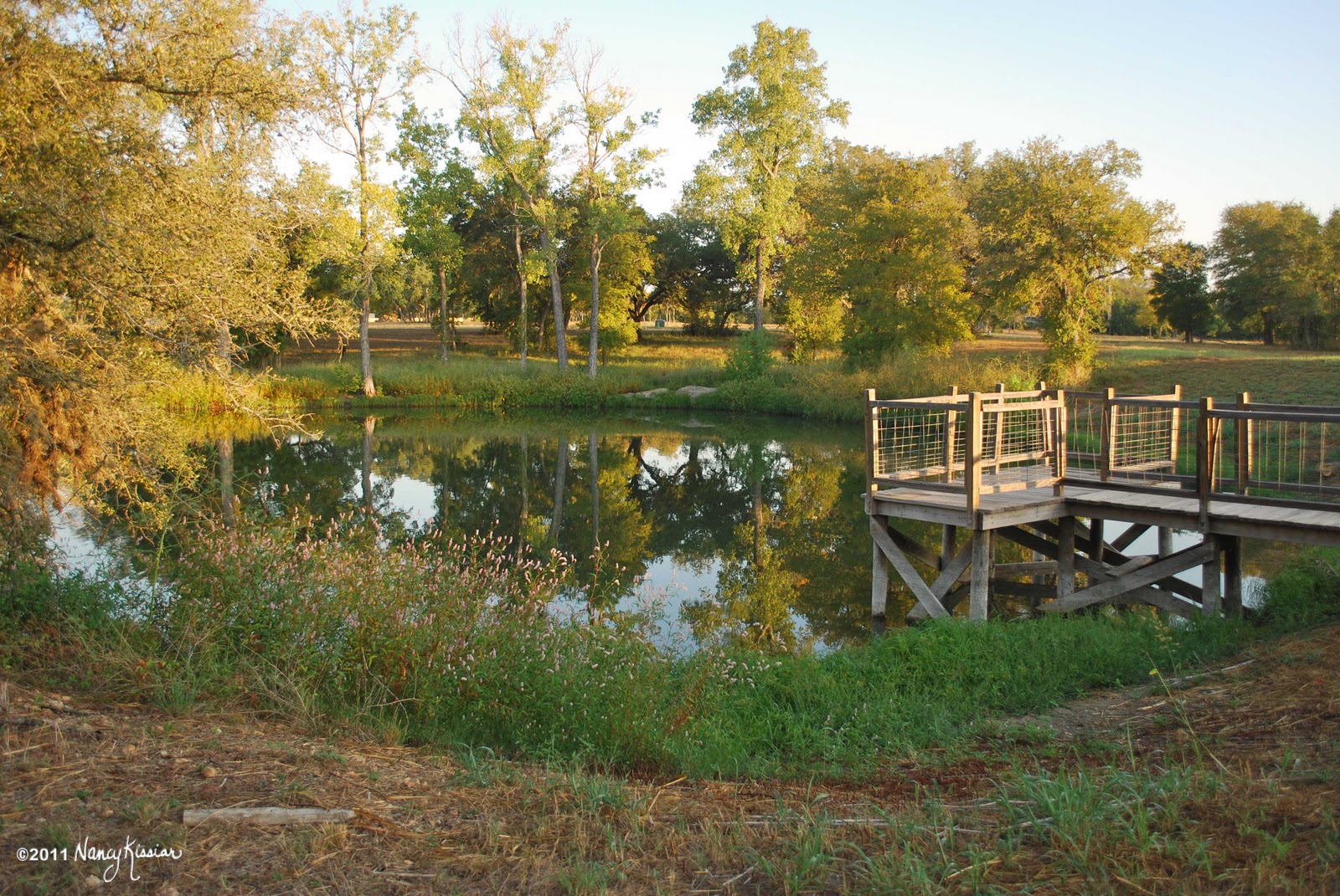 Wild About Texas: Finding a Quiet Place in the Midst of the Suburban Sprawl