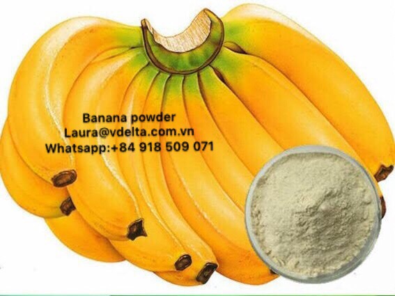 Banana extract powder - Extract powder suppliers