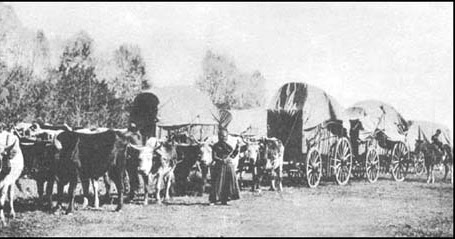 Seeks Ghosts: The Legend of White Wolf