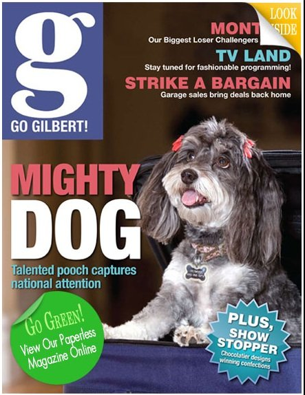 My Favorite Pup Jasmine: Jasmine's Print Ads and Media