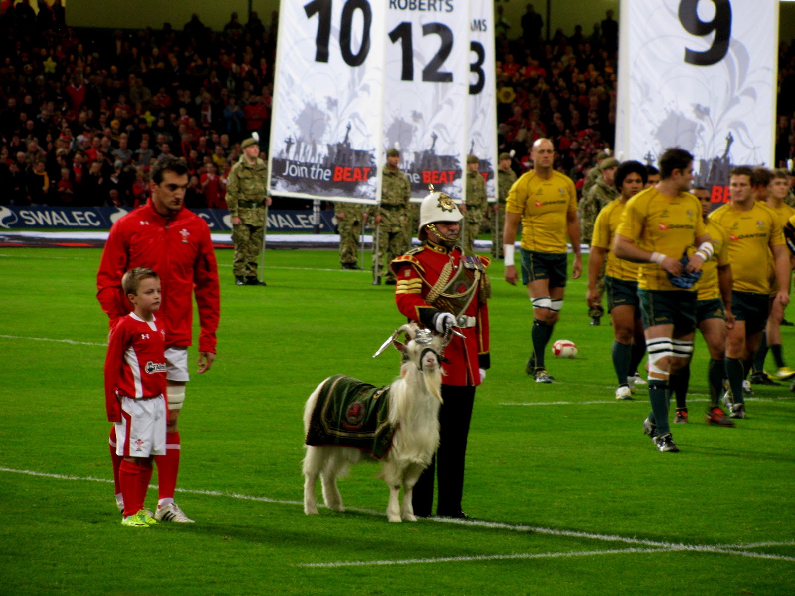El Mundo: Wallabies in Wales