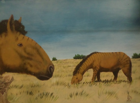 Noticias de Paleontologia: Hippidion principale, el caballo americano ...