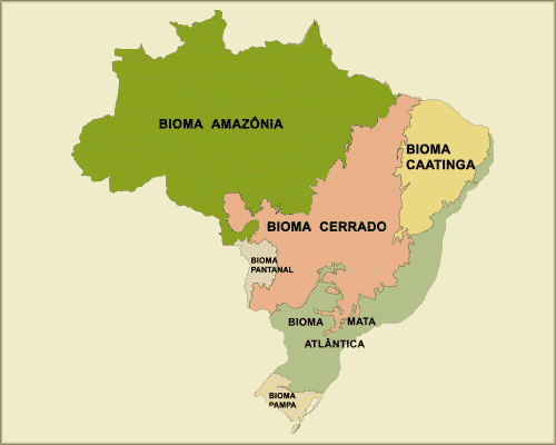 Geographically!: Theme 2 - Brazil - The Miracle of the Cerrado