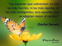 Proyecto MARES: 15 frases resilientes