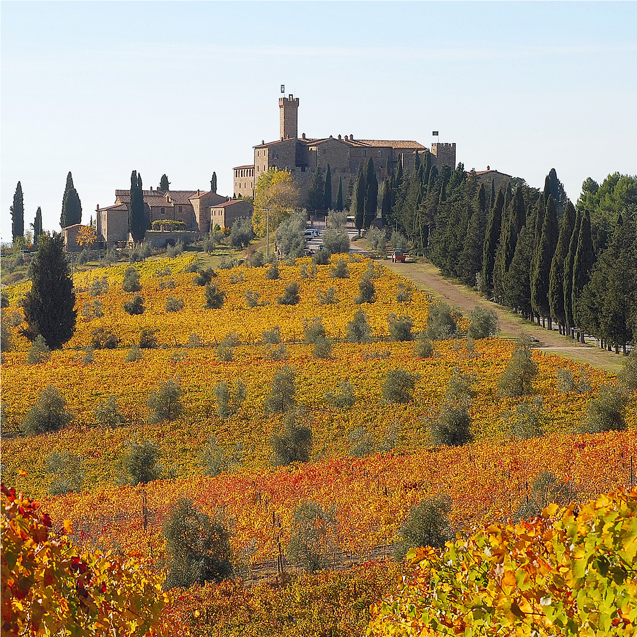 Castello Banfi: Interview with Winemaker Rudi Buratti - John Fodera's ...