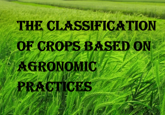 New Update The classification of crops based on agronomic practices