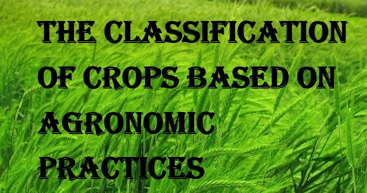 New Update The classification of crops based on agronomic practices