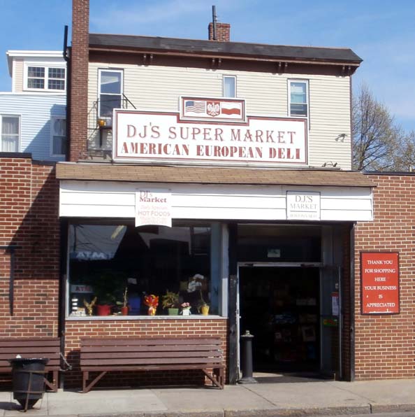 The American Mosaic: Boston's Polish Triangle