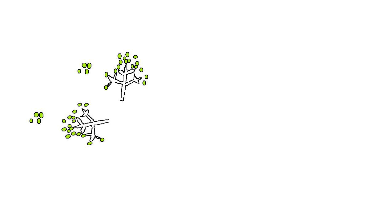 Sustainable Mycology: Trichoderma spp.
