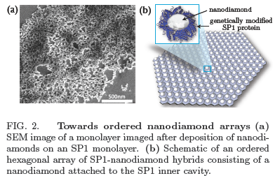 A scalable way to make nanodiamond arrays with nitrogen vacancies for ...