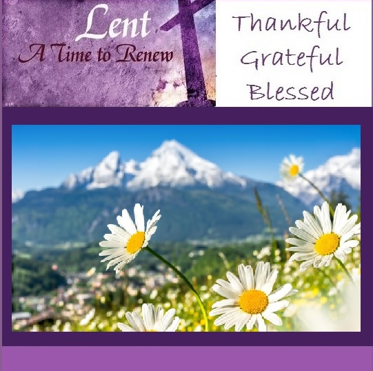 Titus 2 Women: Lent Day 20 Thankful to see God in Nature