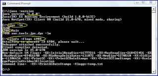 Inspired by Actual Events: jinfo: Command-line Peeking at JVM Runtime ...