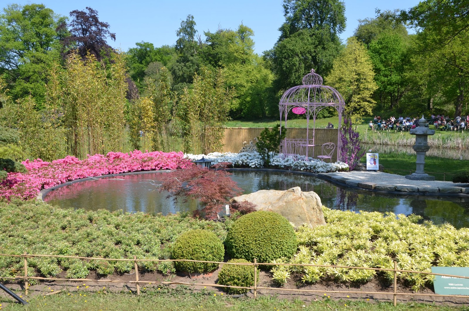 Mon Jardin Mes Merveilles