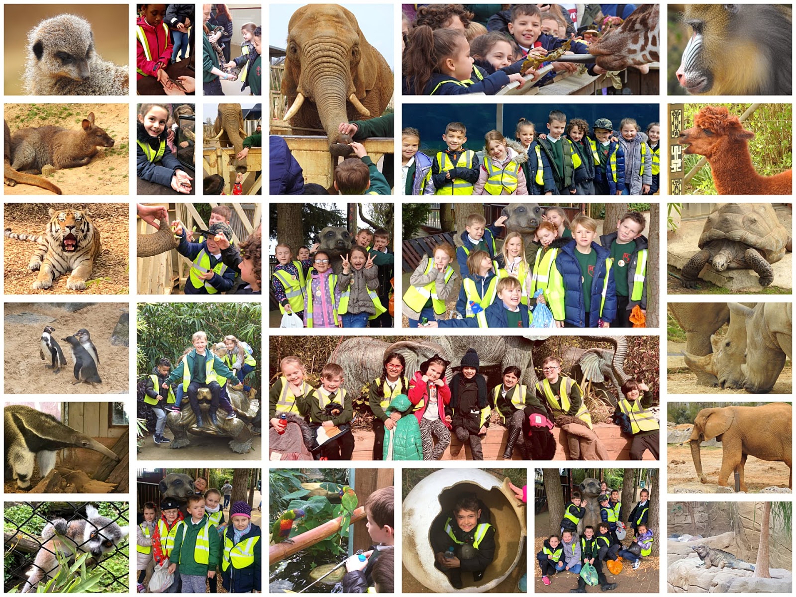 Hacton News: Year 2 Visit Colchester Zoo