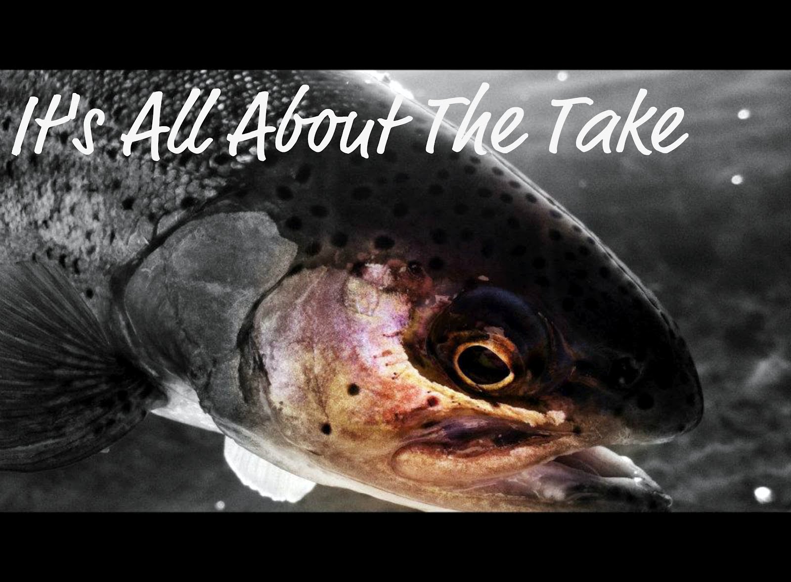 It's All About The Take: Ana River, Summer Lake Oregon