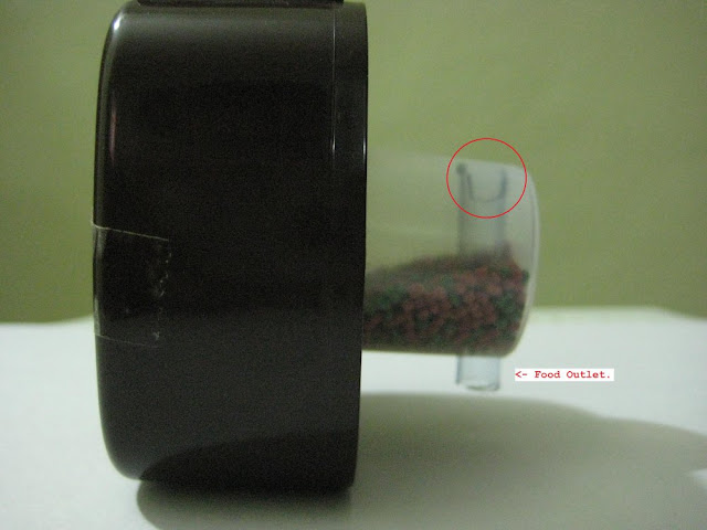 My Fresh Water Aquarium - Natural Planted Tank (Walstad Method).: How ...