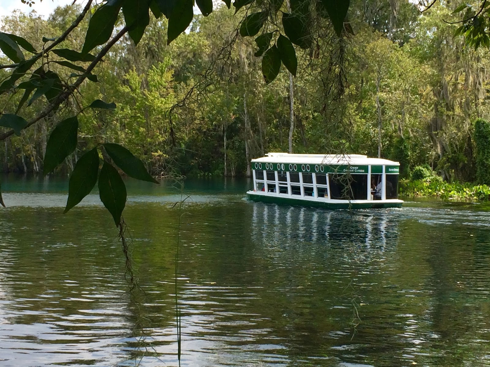 Magnolia Mamas : Exploring Silver Springs