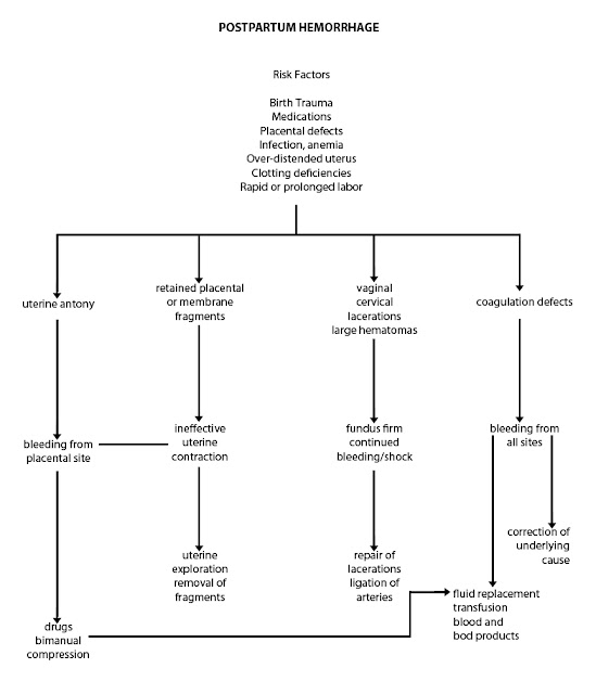 Pathophysiology: POSTPARTUM HEMORRHAGE - Pathopysiology