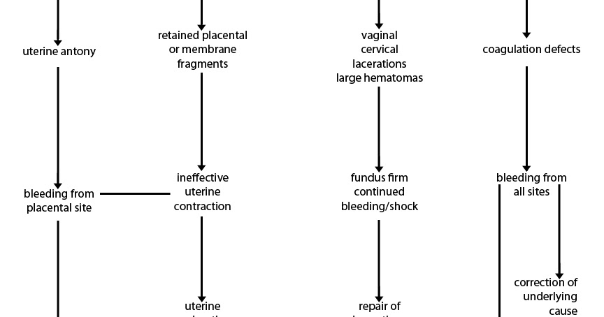 Pathophysiology: POSTPARTUM HEMORRHAGE - Pathopysiology