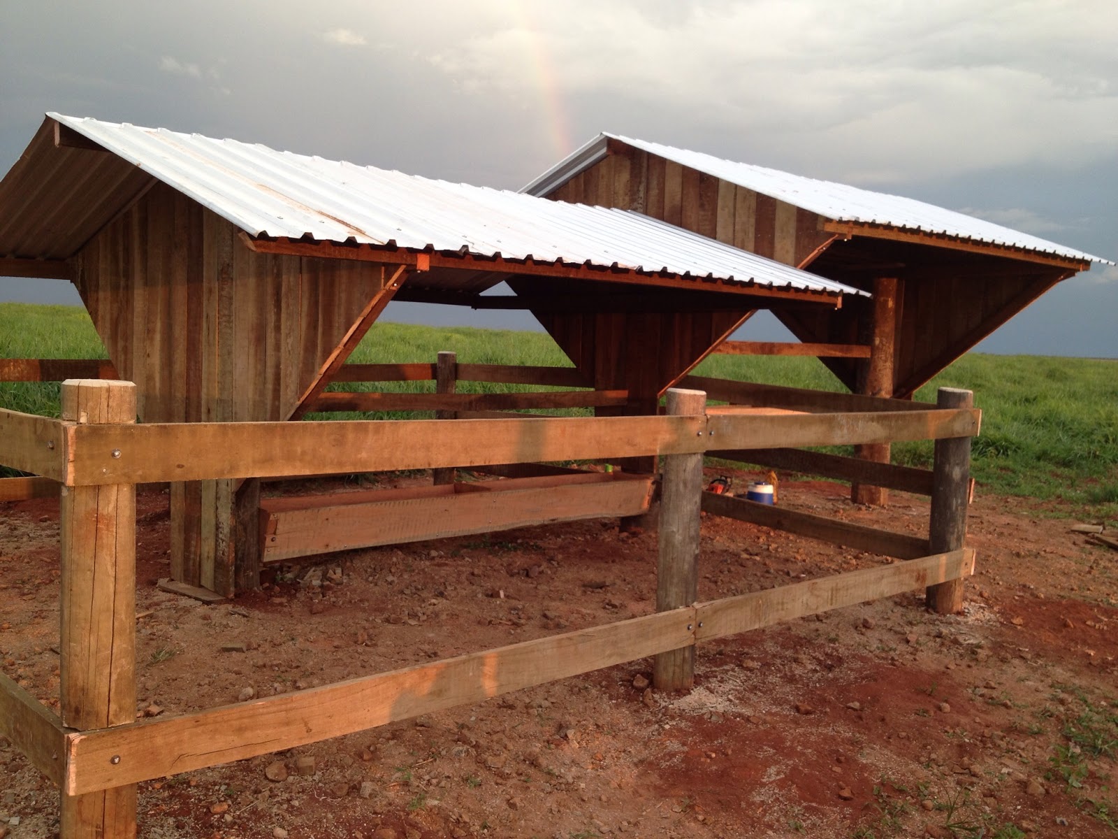 Pescaria e Carpintaria: Cocho Creep Feeding Stamm Eucalipto Tratado