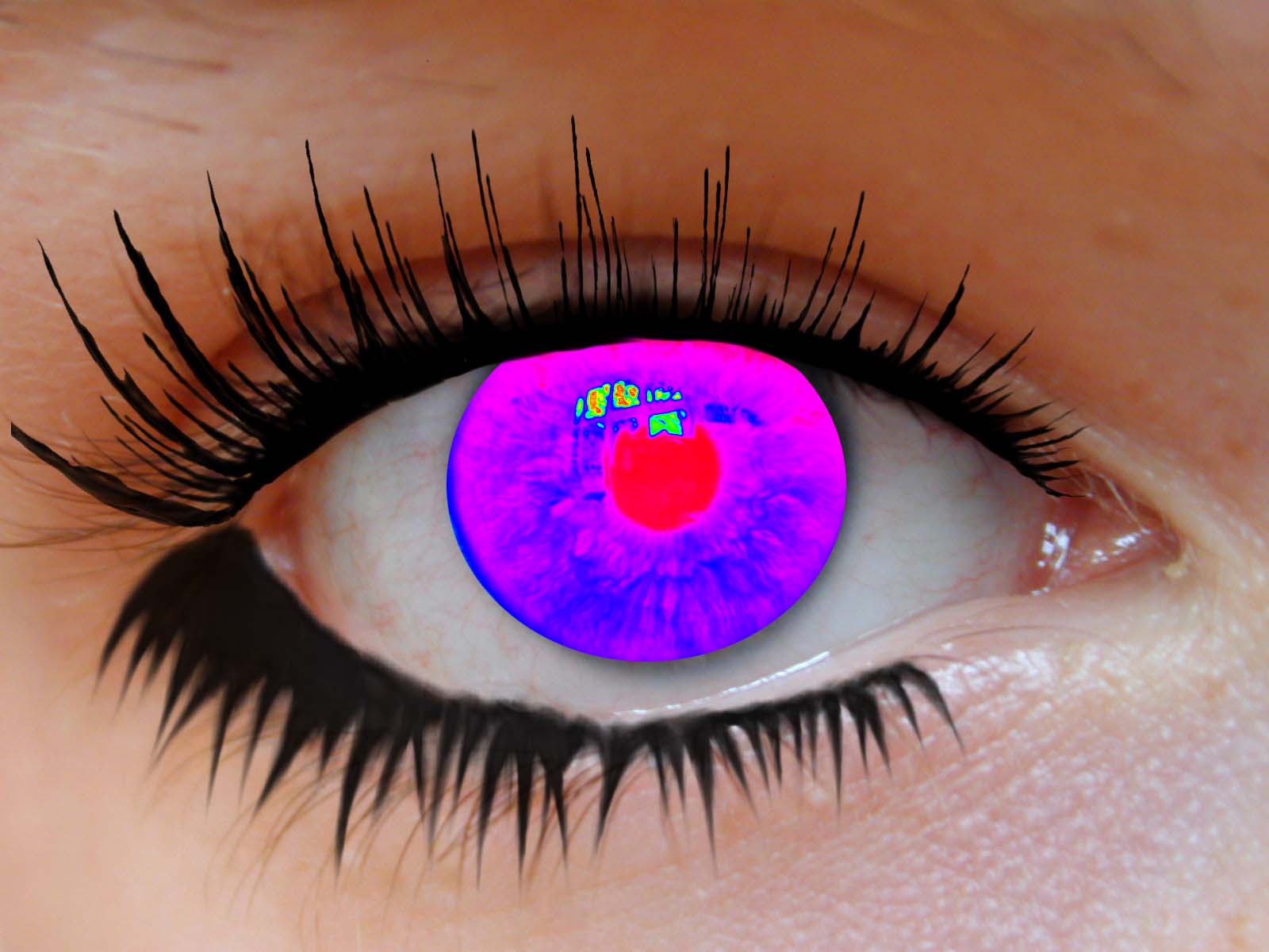 Kalynn Bellamy's Photography(: