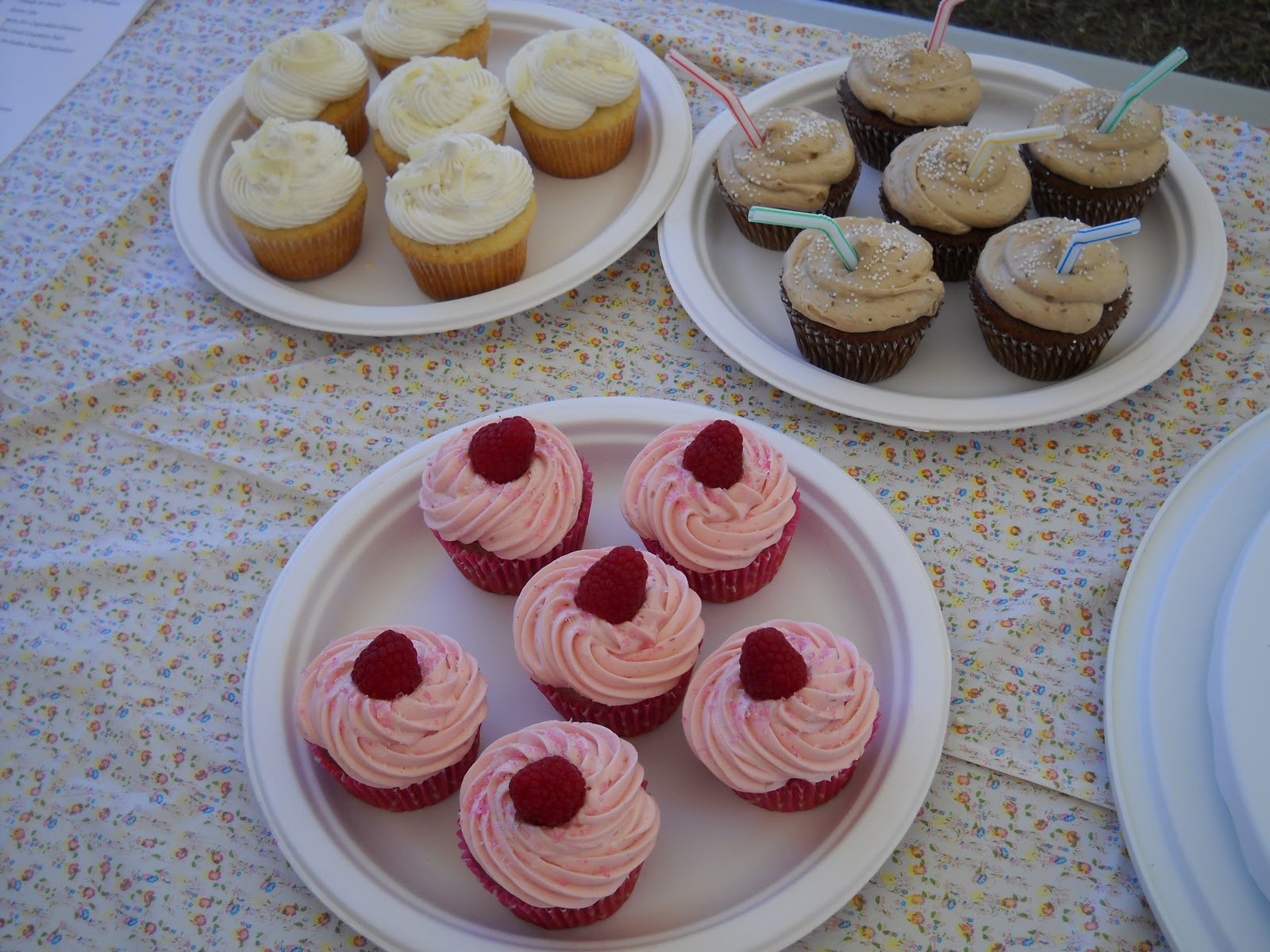 Bake It With Booze!: Gold Country Fair Crazy for Cupcakes Competition