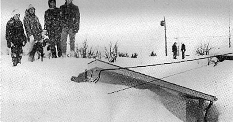 I Survived the Blizzard of '77 I Survived the Blizzard of '77