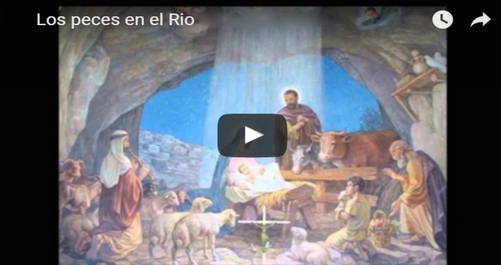 Rayitos del alma: Los peces en el río