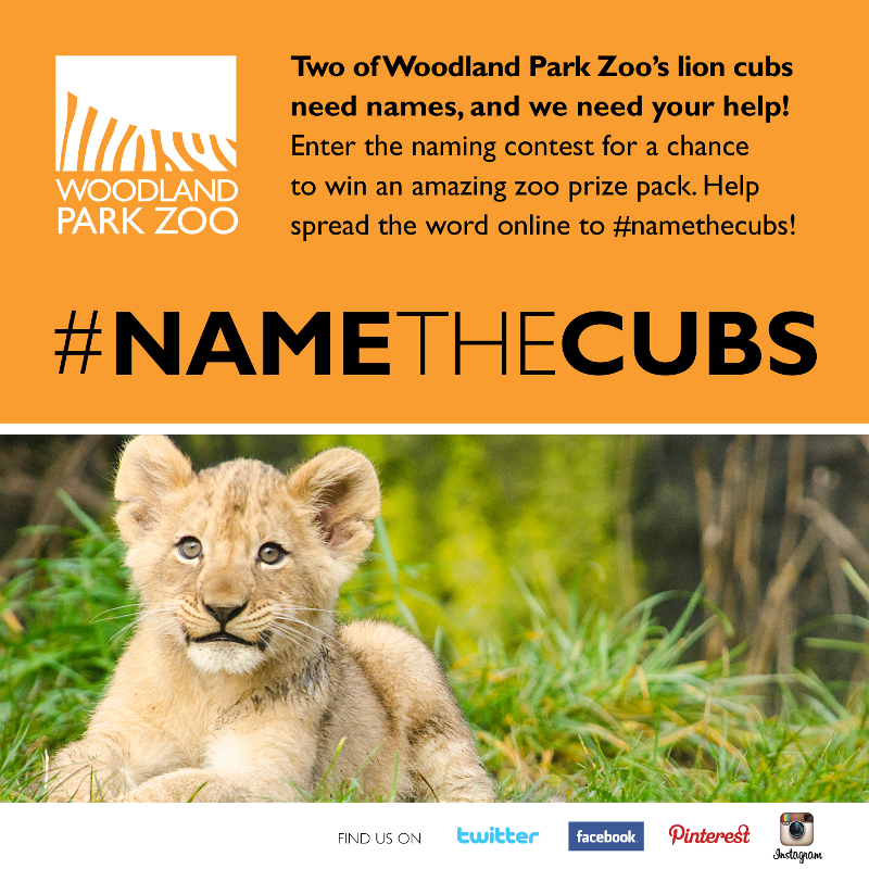 Contest: Name the cubs!