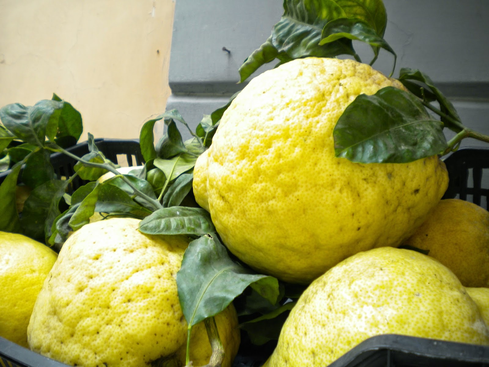 Quill Notes: Italiano...