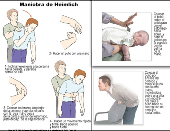 Educación Física V