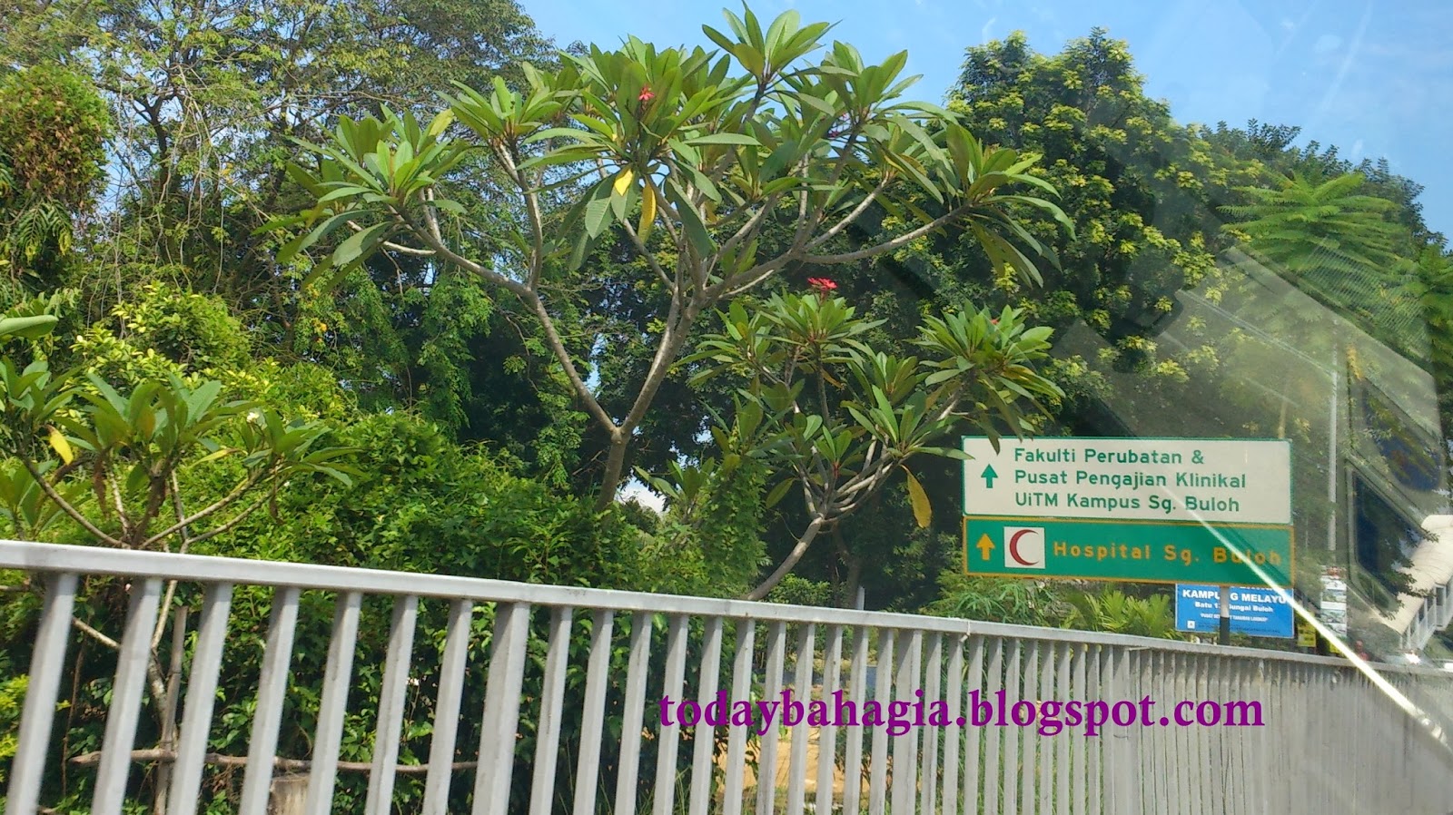 Today BAHAGIA: Hub Bunga Negeri Selangor, Sungai Buloh :: Syurga Bunga.