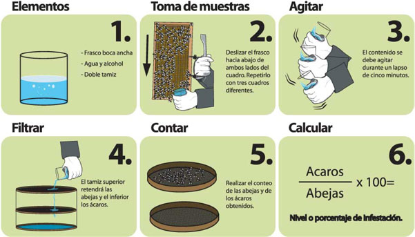 Campo Natural......: Varroa;Varroosis, diagnóstico