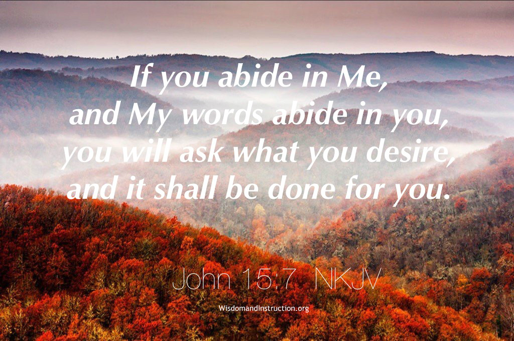 Wisdom And Instruction John 15 7 NKJV