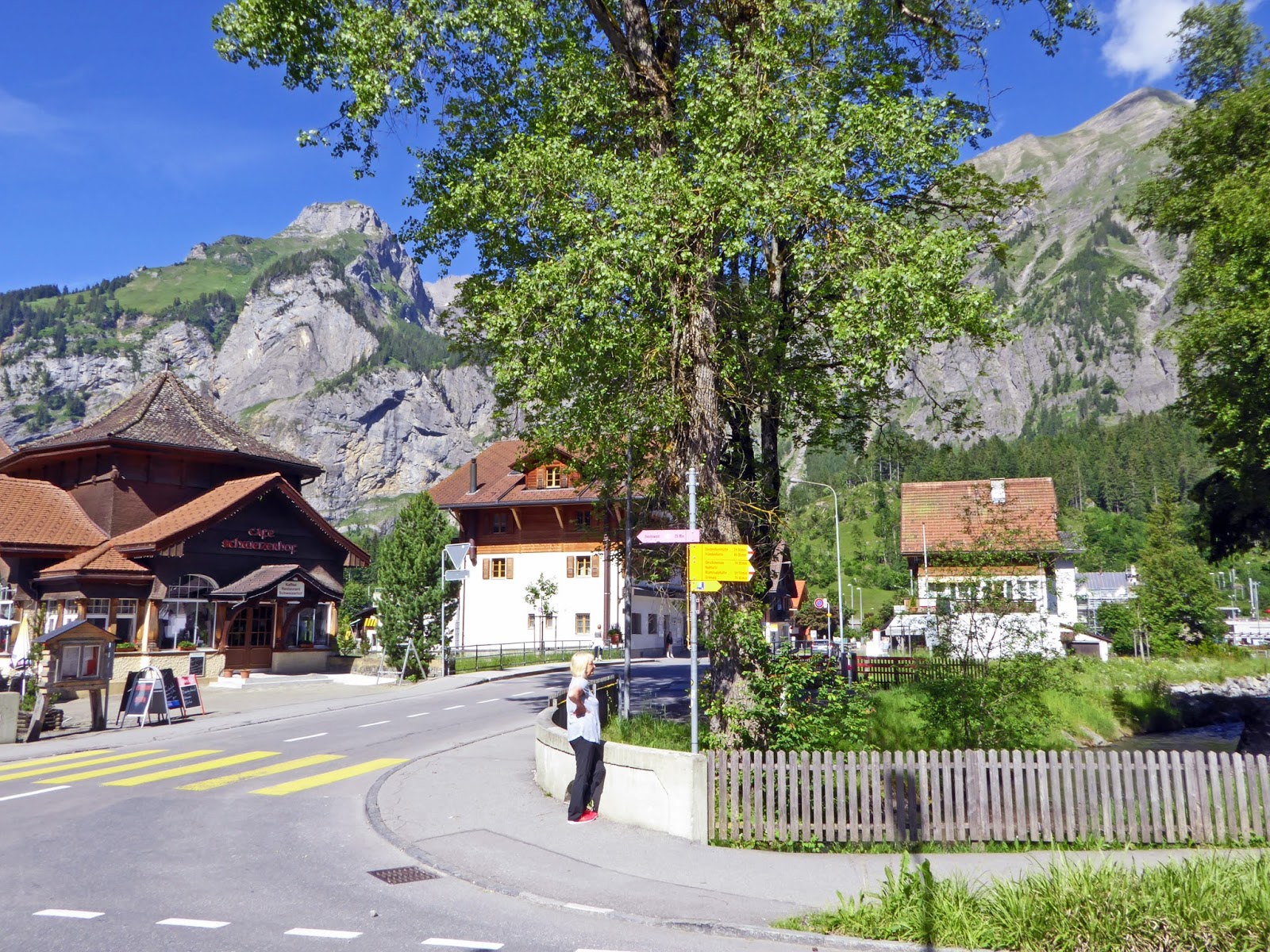 Images of Landscapes and Wild Flowers: Kandersteg.... A Home In Switzerland