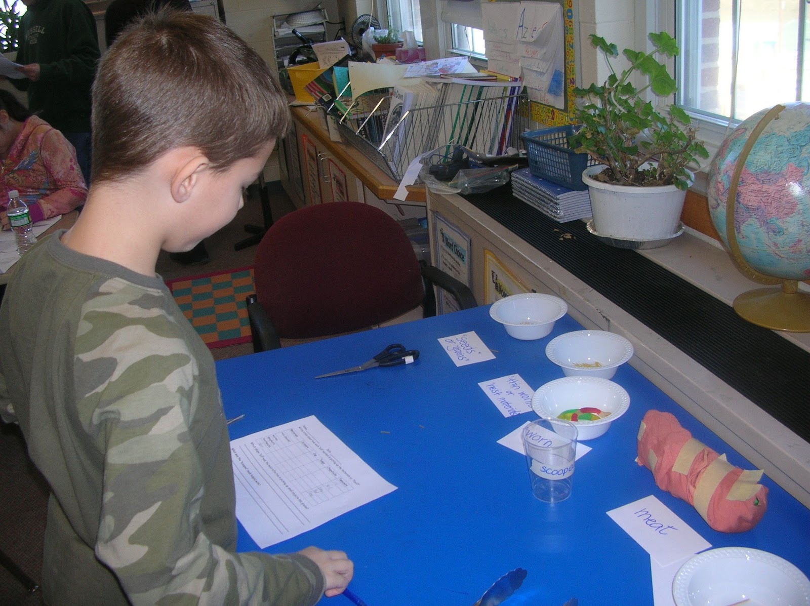 Teaching Outside the Box: Bird Beaks