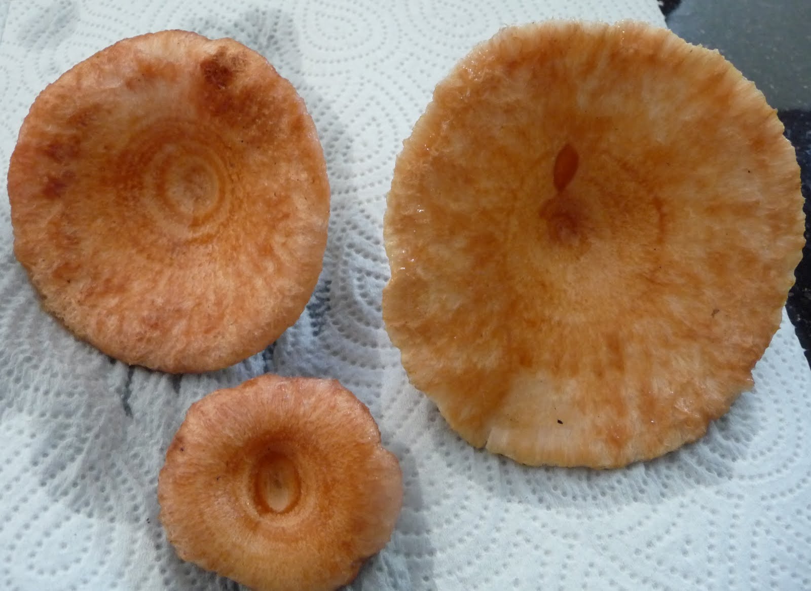 Rappusilla unelmia...: S- viikonloppu : Sipulia & Sieniä