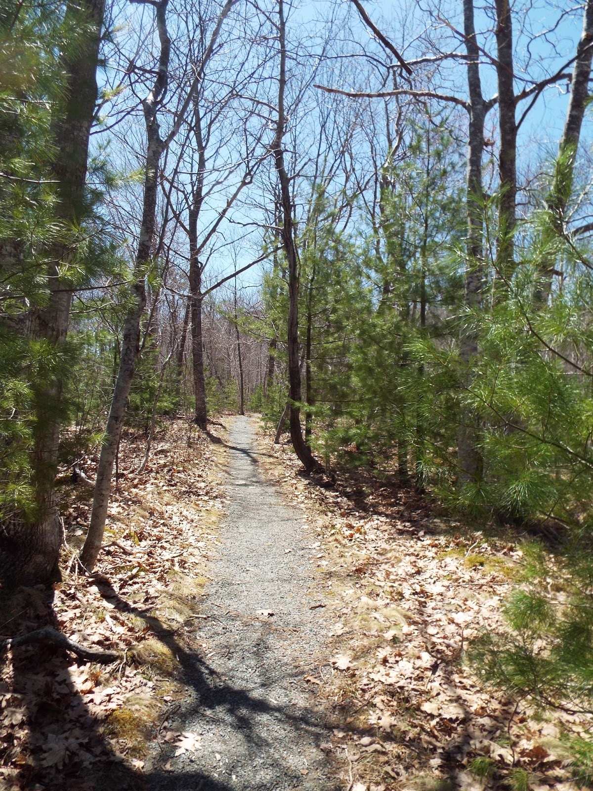 ABANDONED TRAILS OF ACADIA NATIONAL PARK: LOST GEORGE B. DORR BICYCLE PATH