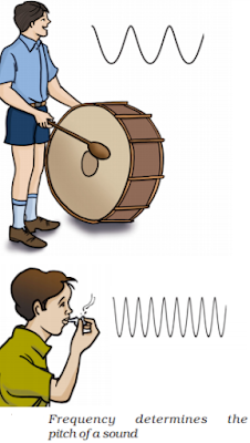 Chapter 13 Sound notes class 8th science – EduGrown School