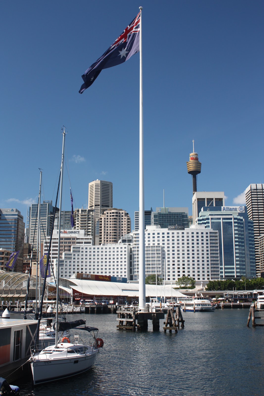 Sydney - City and Suburbs: Darling Harbour, flag