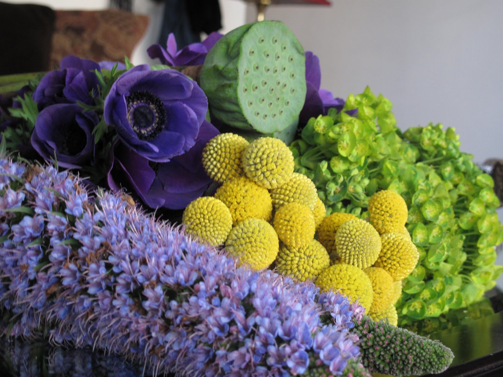 Phantom Floranista Weekly