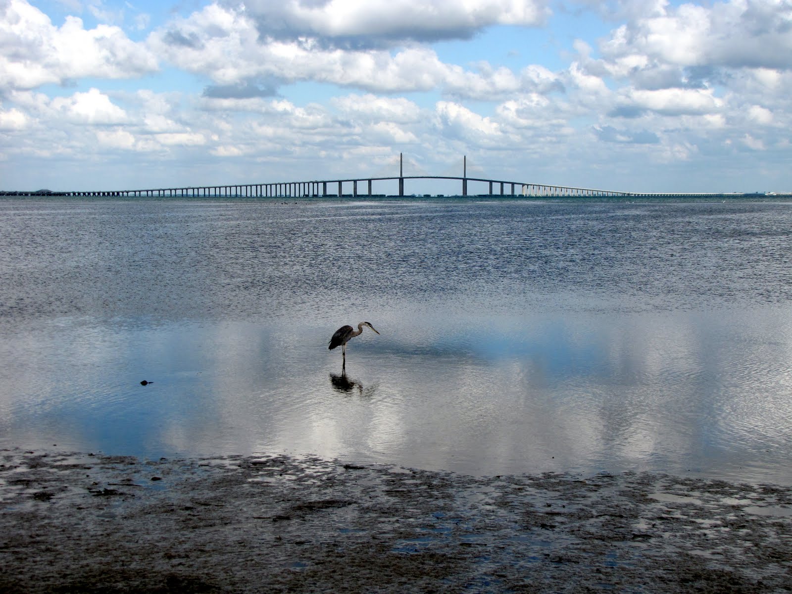 Setting Up Camp: Ft DeSoto