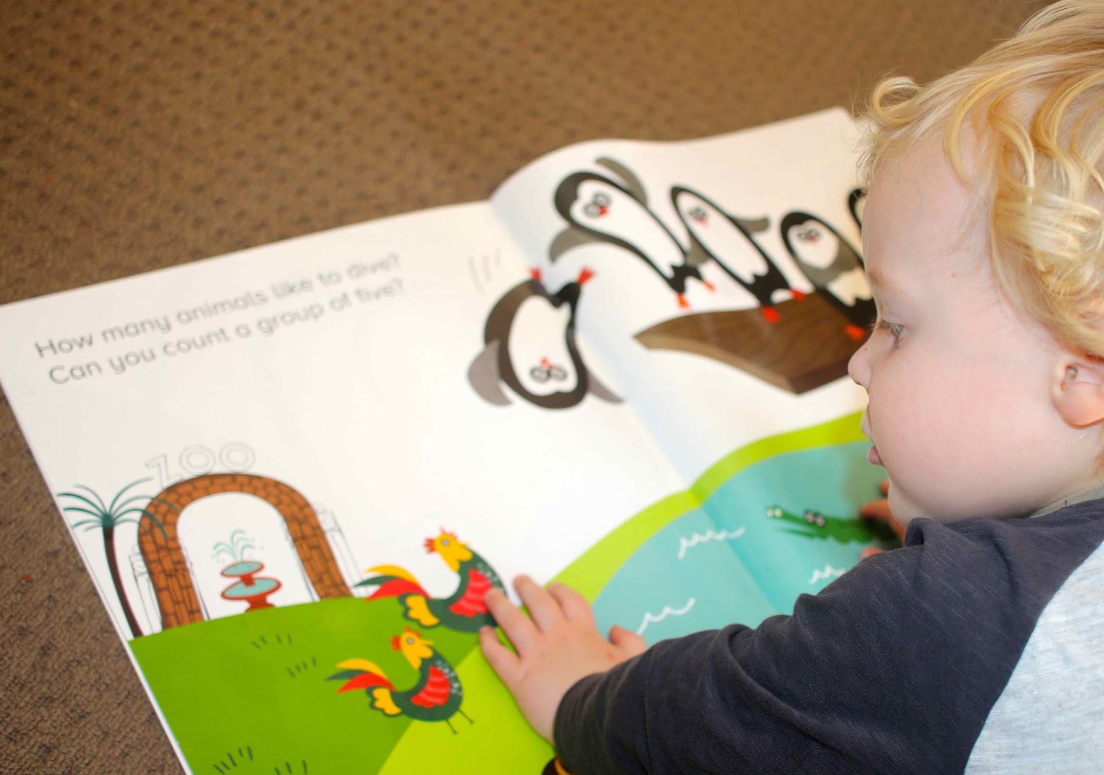 Origo Education Big Books - Mathful Learners