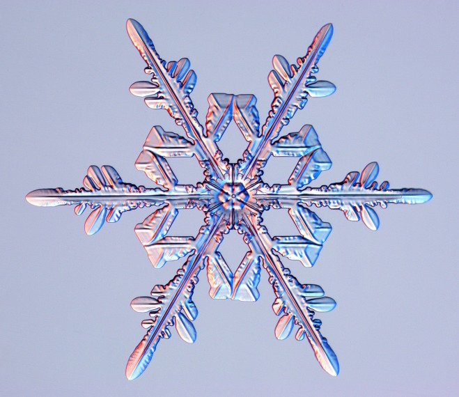 Heraldry of Life: ART with REAL SNOWFLAKES